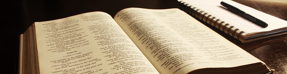 Explore Freedom Bible College | Freedom Church Wesley Chapel