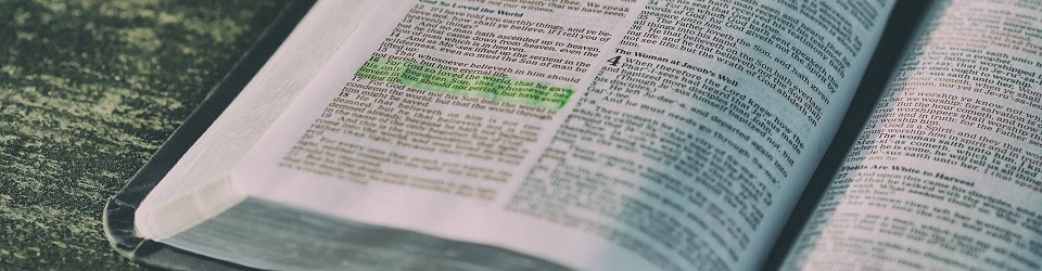 Sermons | Freedom Church Wesley Chapel